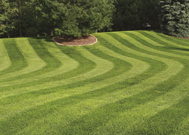 Mowing, Waving, and Tinted Windows – Ken Ballinger